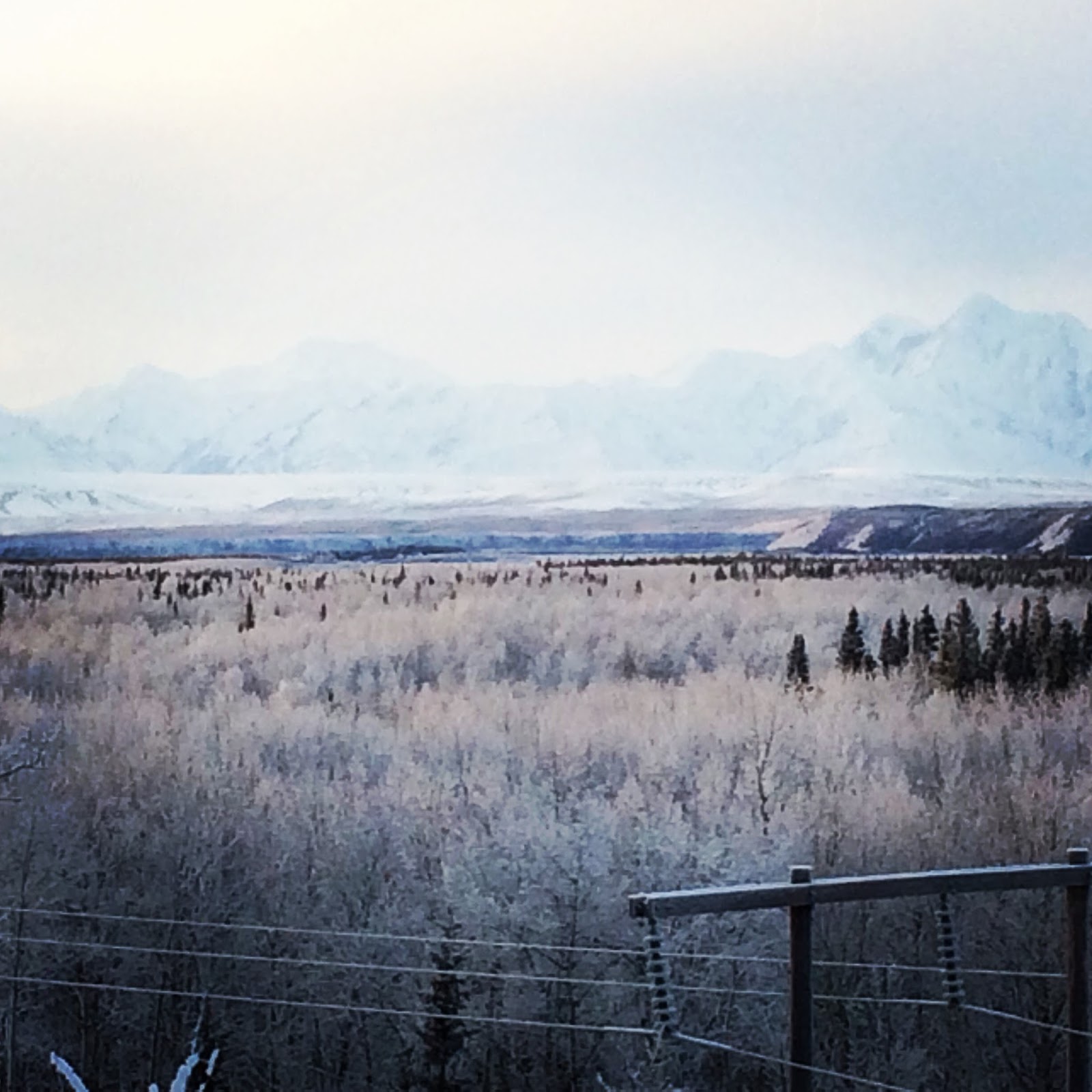 Not All Who Wander: Exploring Delta Junction, AK
