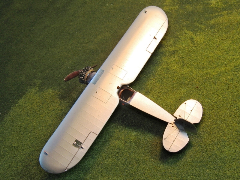 Wings of Intent: Scratchbuilt Ryan M-1 completed