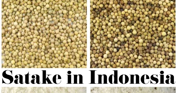 The Global Miller: Satake in Indonesia