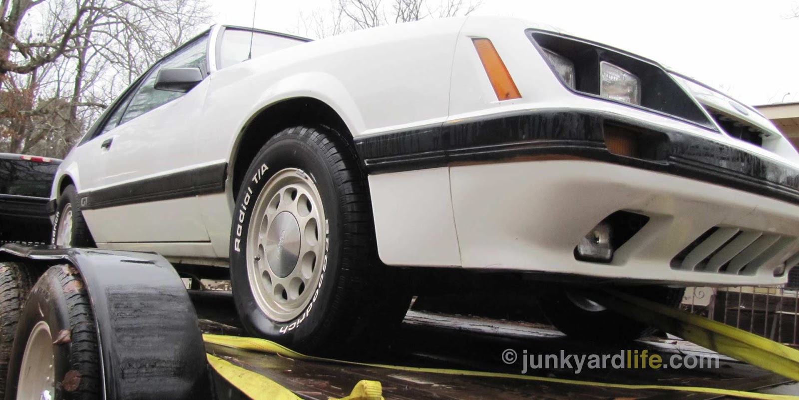 Junkyard Life: Classic Cars, Muscle Cars, Barn finds, Hot rods and part ...