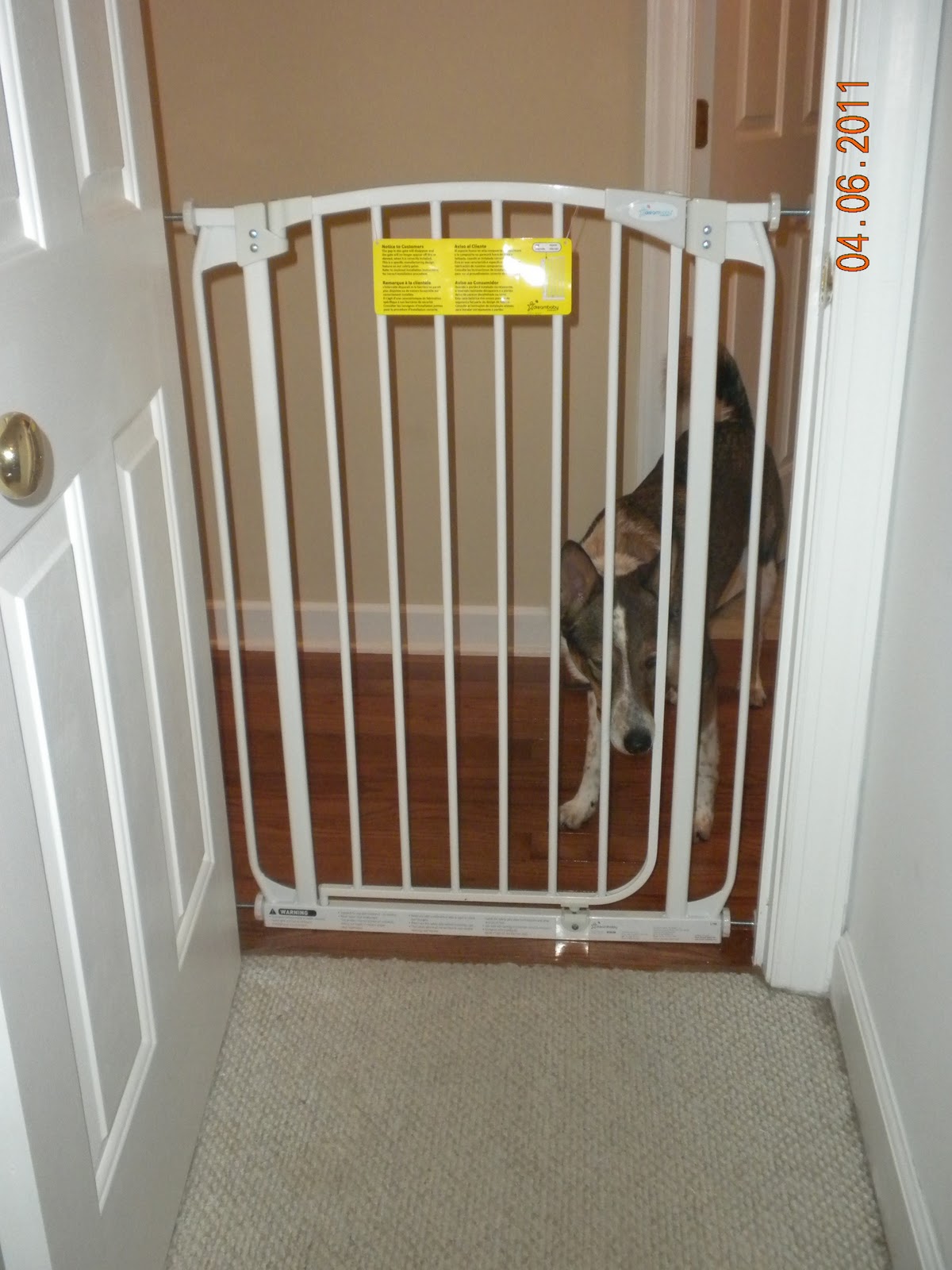 Home Growing Happiness: Safety Gate Reviews