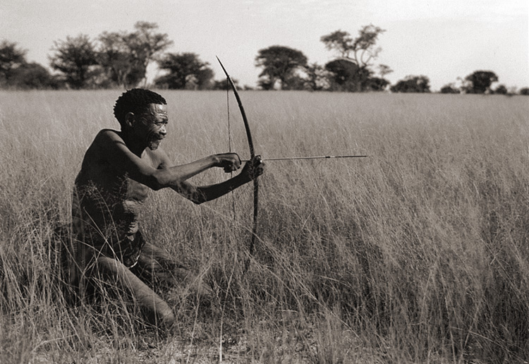 Blog of the Bushmen: Roles of the Bush