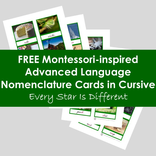Free Montessori Green Series/Advanced Language Nomenclature Cards in ...