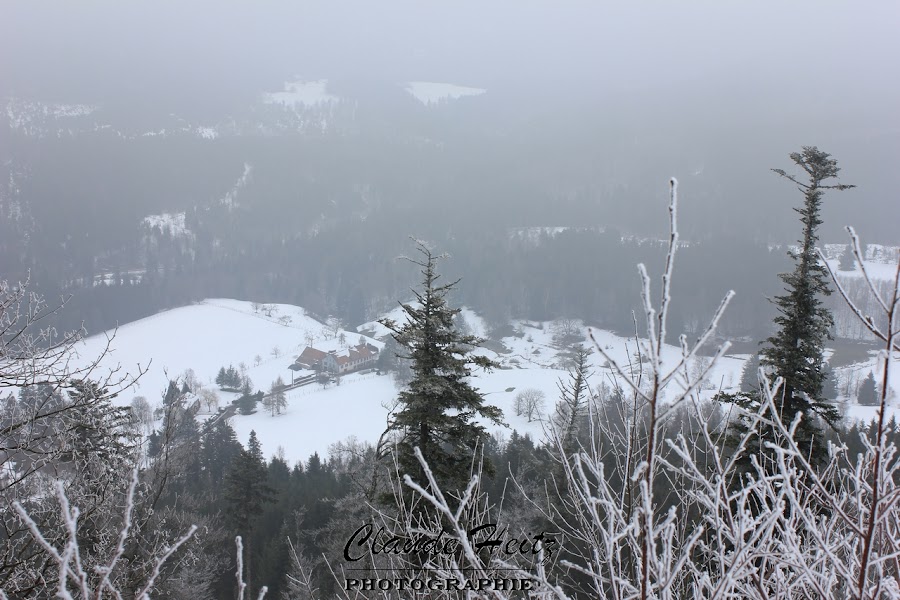 Une randonnée en terre de Salm - Mes photos à travers l'Alsace