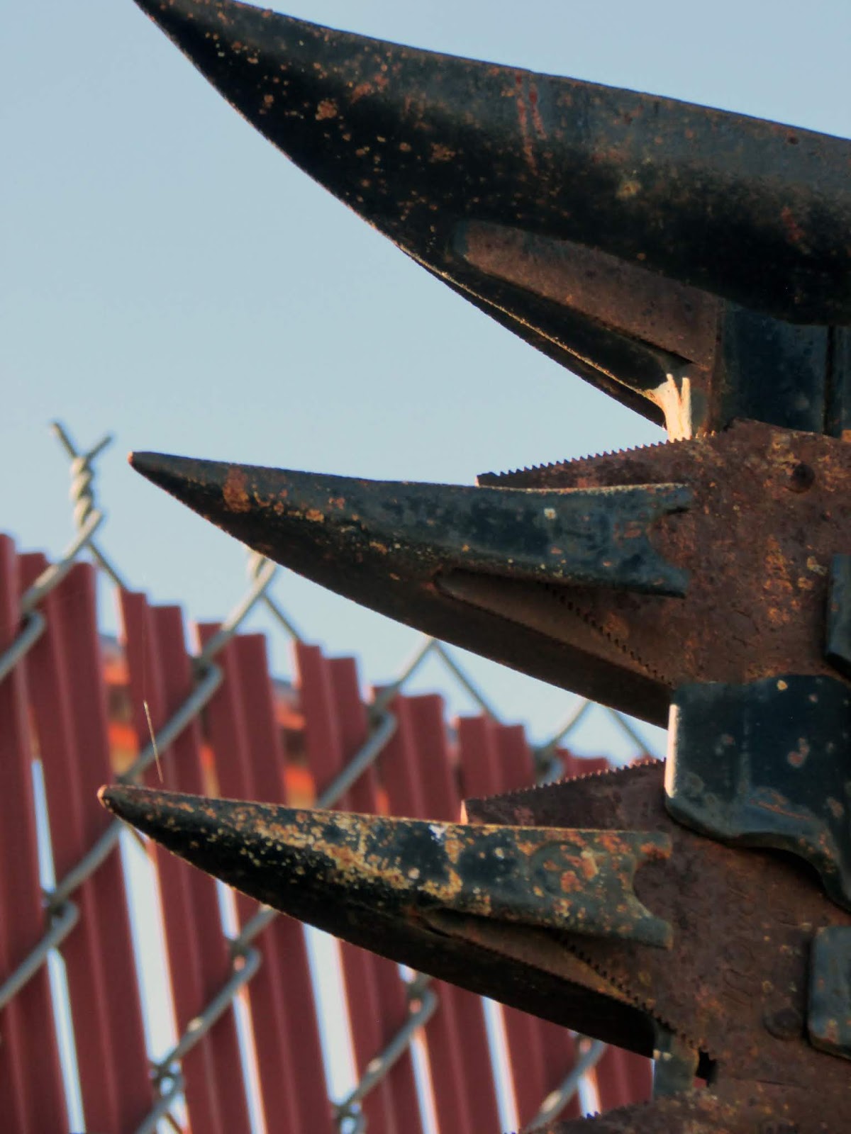 Tumbleweed Ranch Up Close