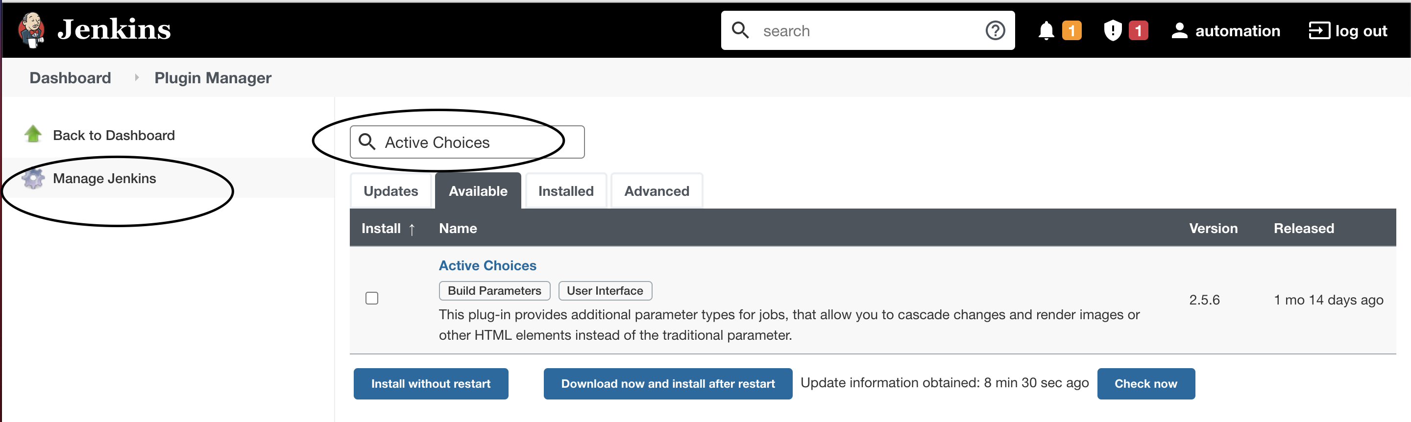 Active Choices Parameter In Jenkins