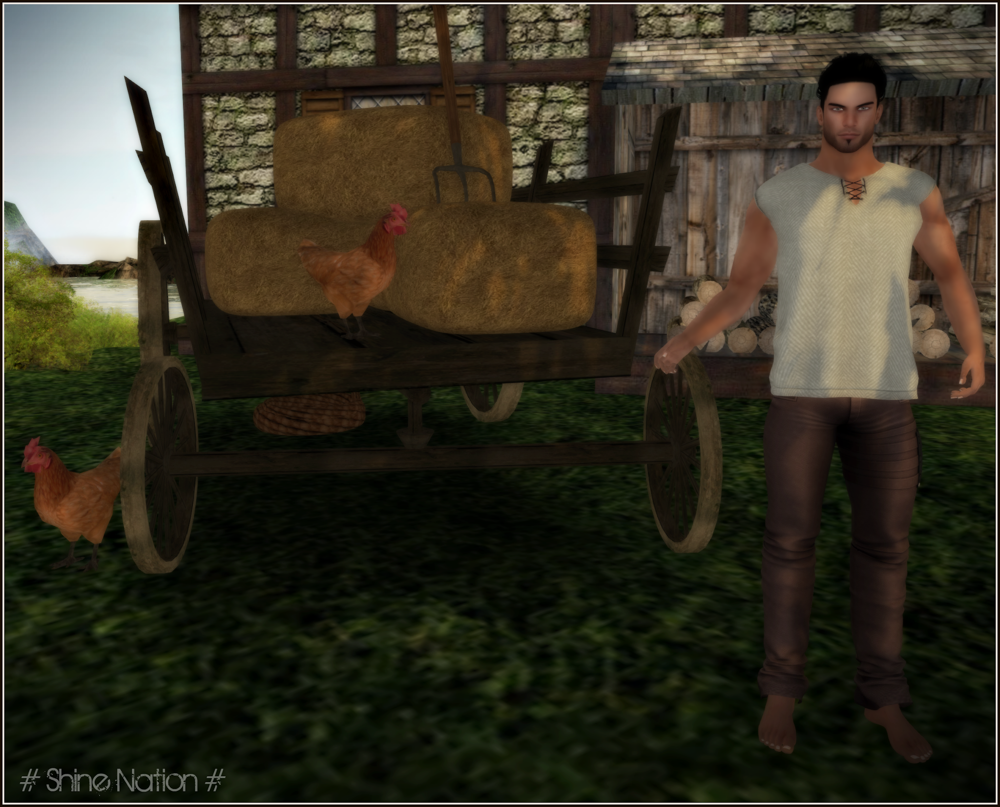 ShineNation-SL ..::..: ** A Medieval Day **