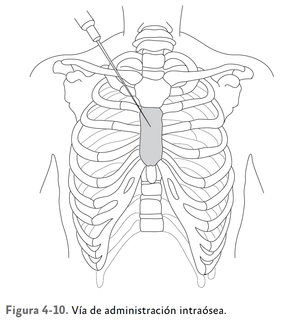 Teamwork Medical Nurse: VÍAS DE ADMINISTRACIÓN DE MEDICAMENTOS
