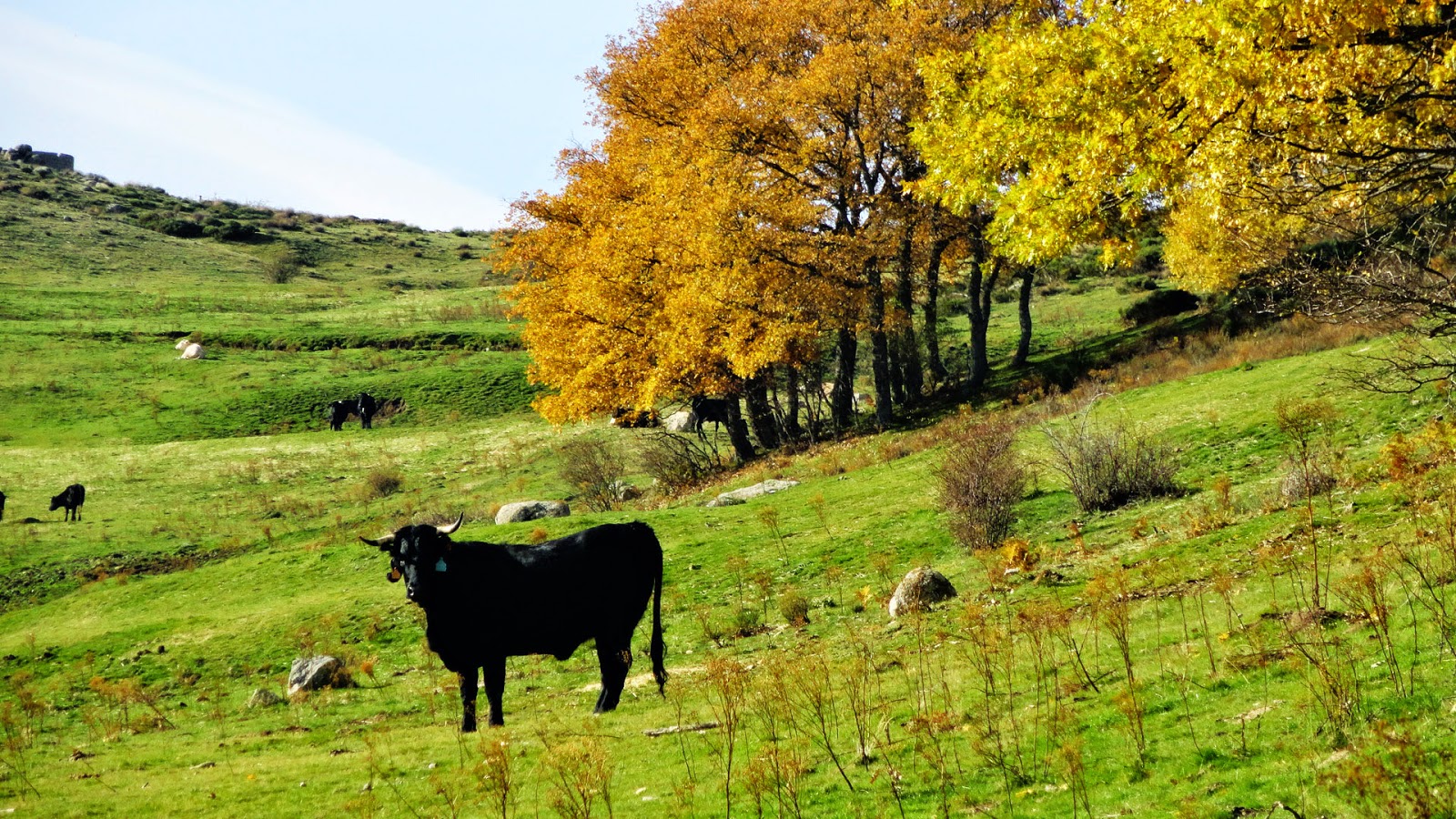 EL BICIERRANTE: NACIMIENTO DEL ADAJA Y VALLE DEL CORNEJA