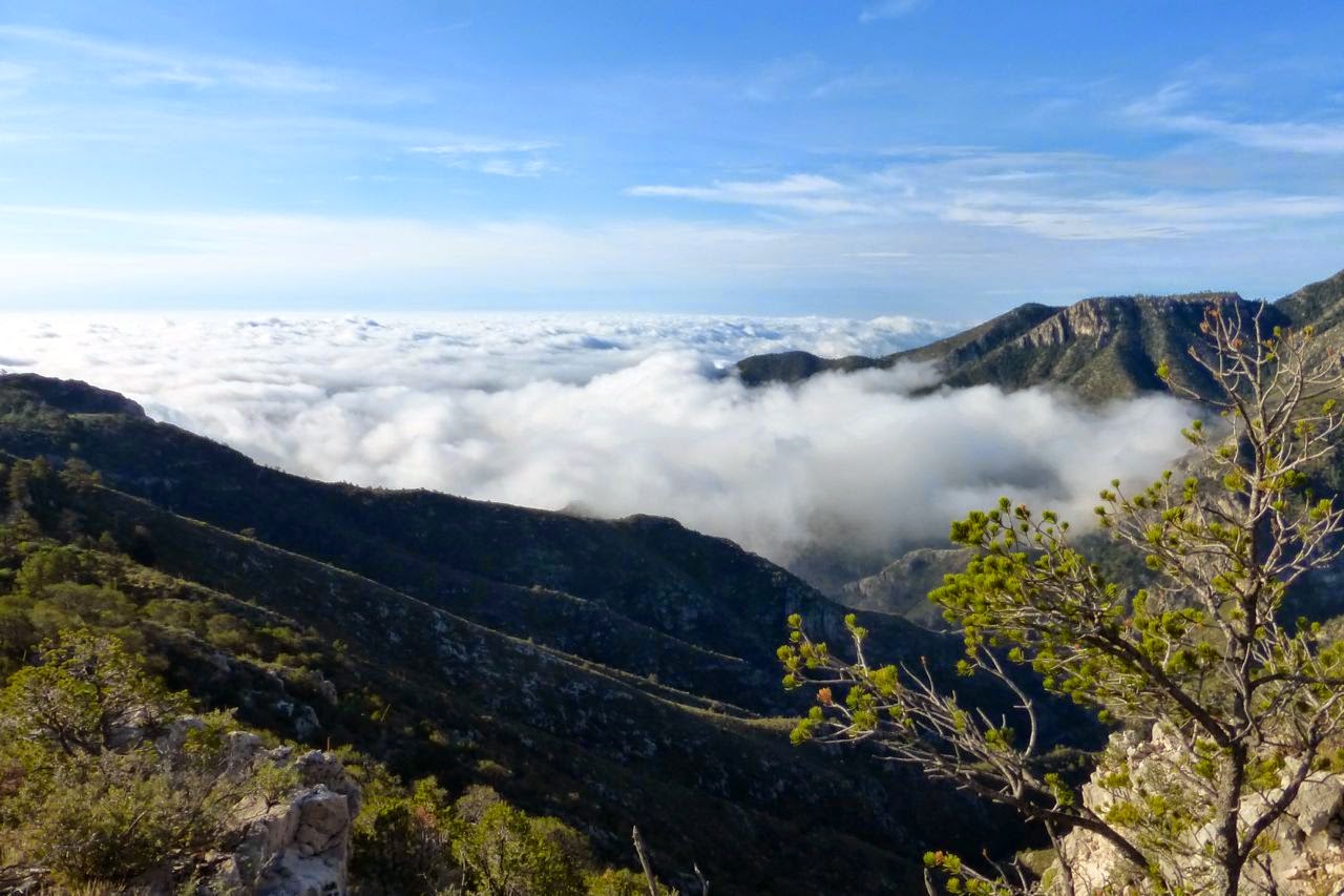 Greg's Running Adventures: Bush Mt (Guadalupe Mountains National Park)