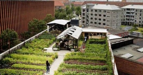 Food and Architecture