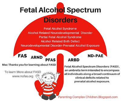 Parenting Complex Children : Day 31: The FASD Umbrella