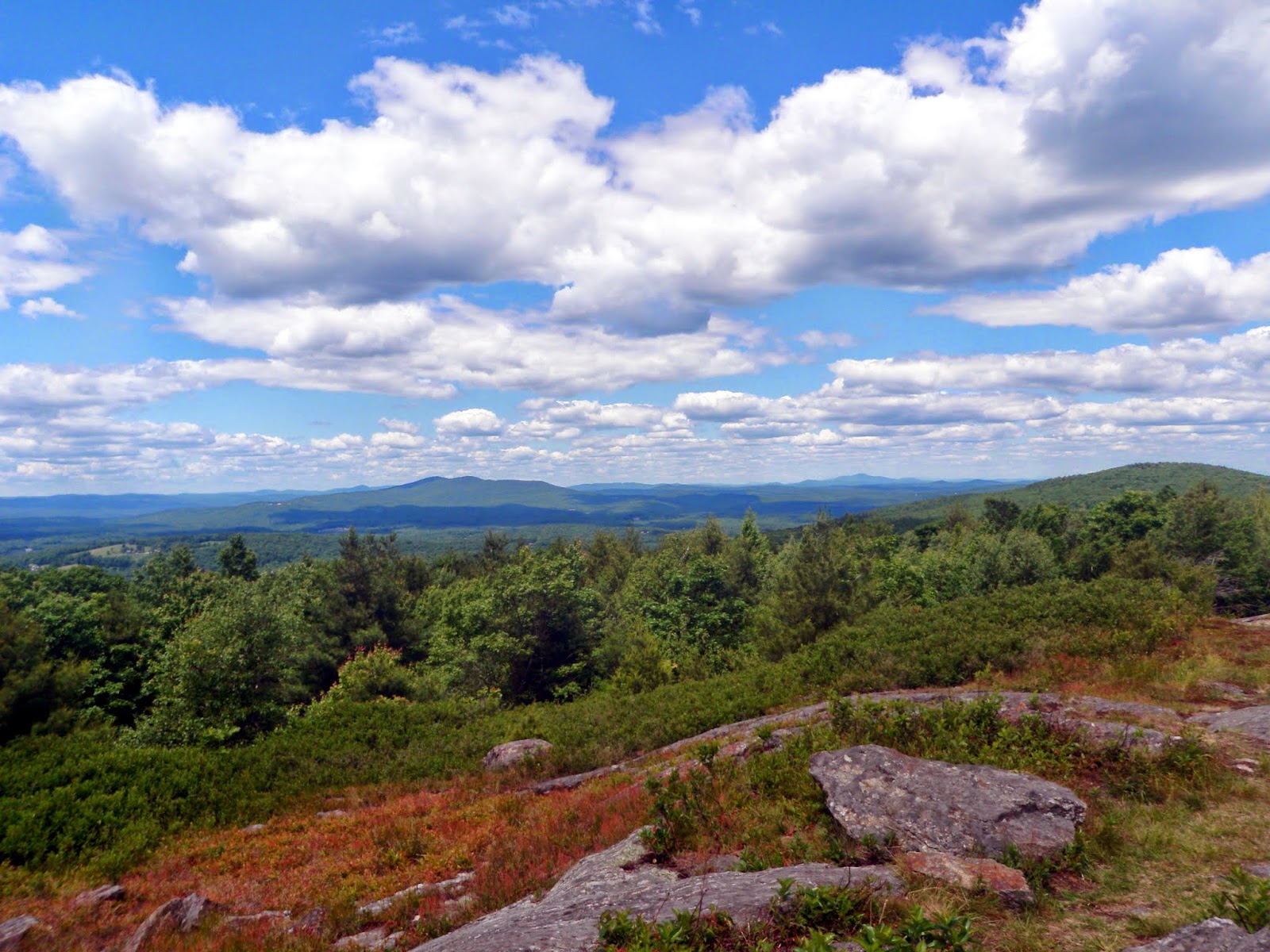 Trekking For A Cure. Giving MS The Boot!!: Monroe Hill (Fox State ...