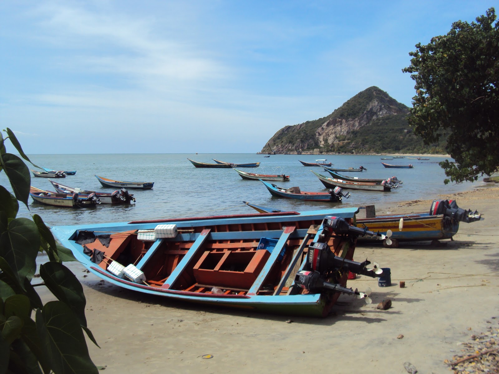 Lugares Turisticos de Sucre: Macuro