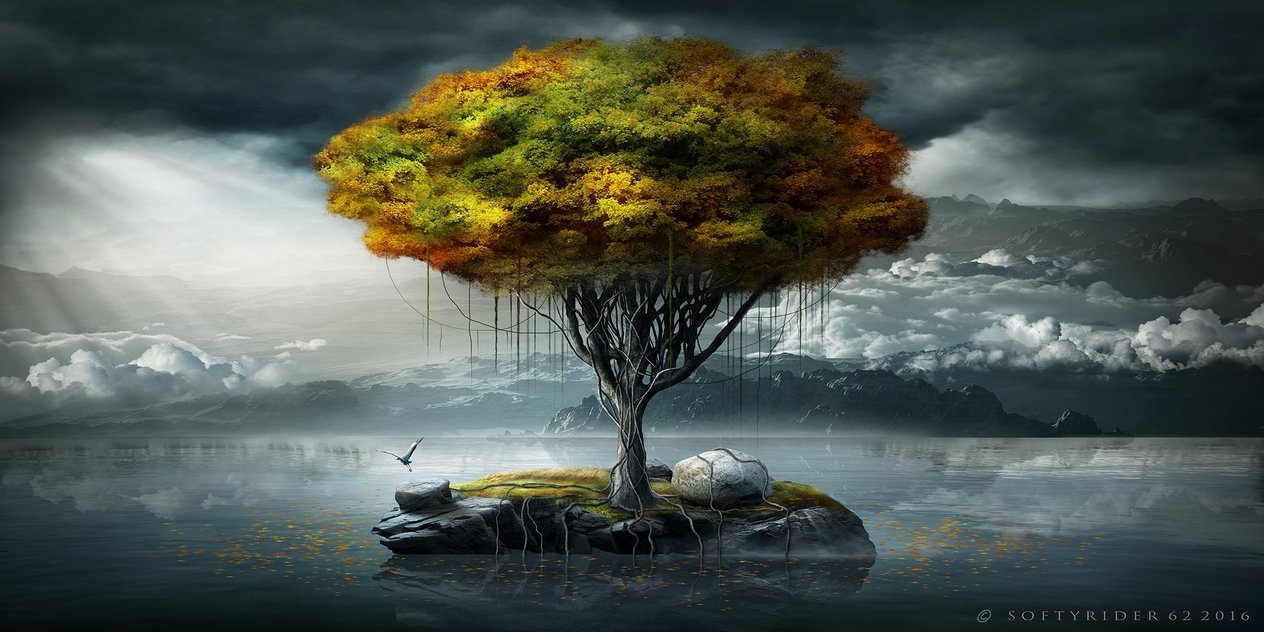 Design Stack: A Blog about Art, Design and Architecture: Softrider62 ...