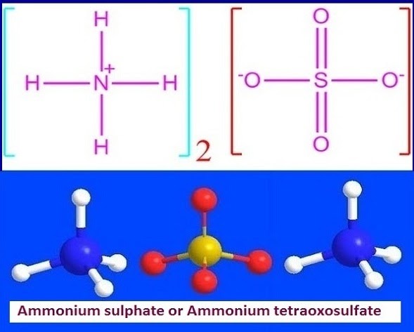 What is ammonium sulfate or (NH4)2SO4? - CHEMSOLVE.NET