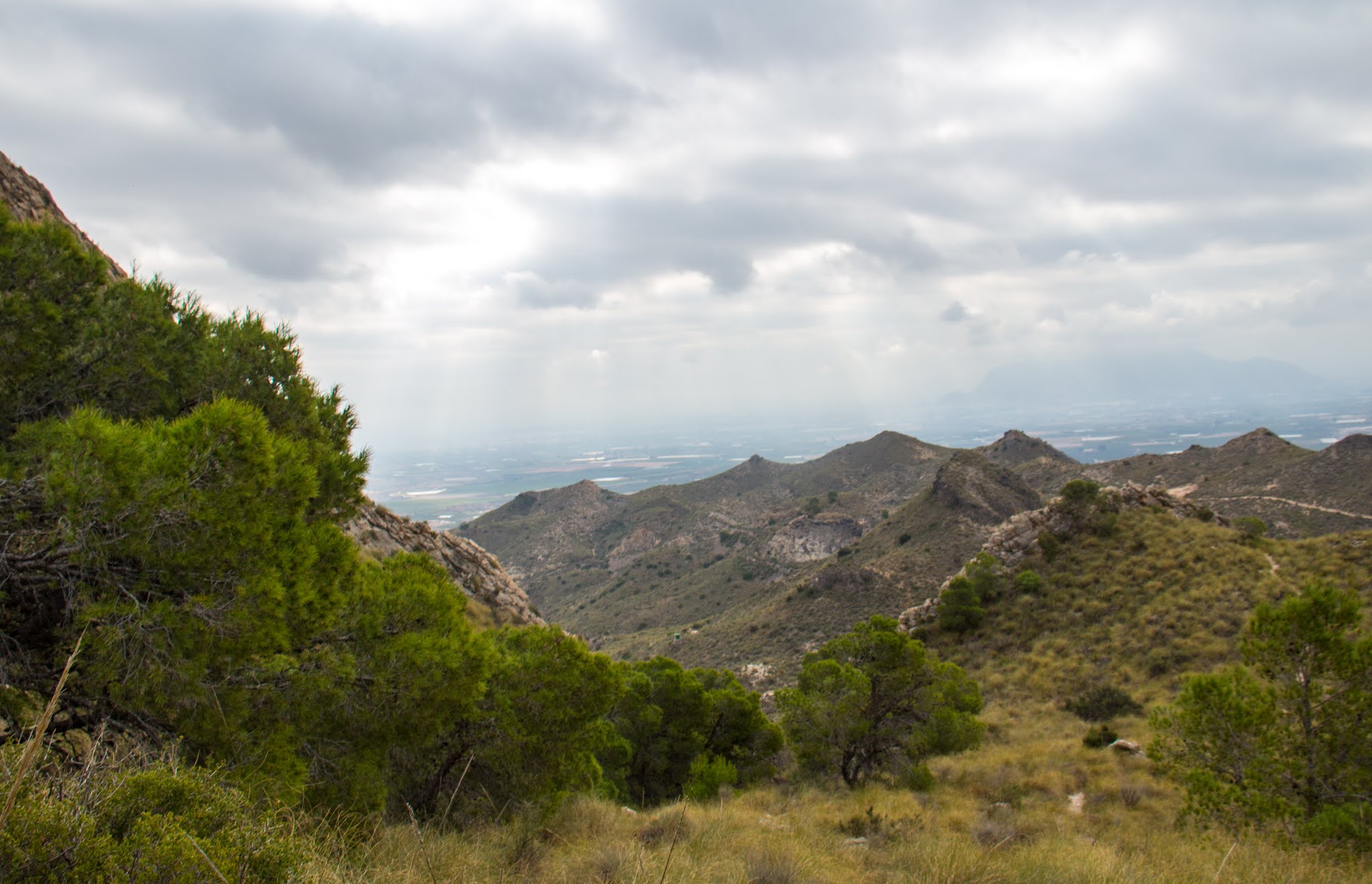 RUTA CIRCULAR AL CERRO DEL AGUDO DESDE BARBARROJA.