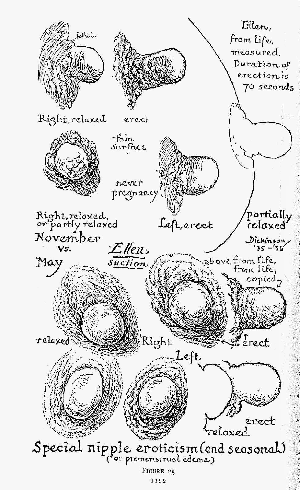 The Civilians Blog Let Me Ascertain You Sex Variants 1941
