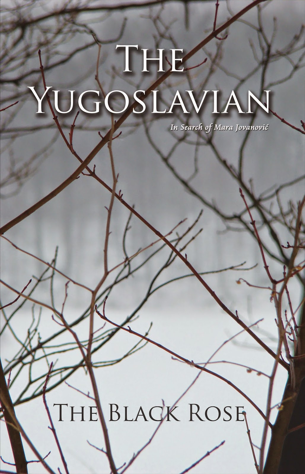Author Sarah Jane Butfield: Author Sarah Jane Butfield meets The Black ...