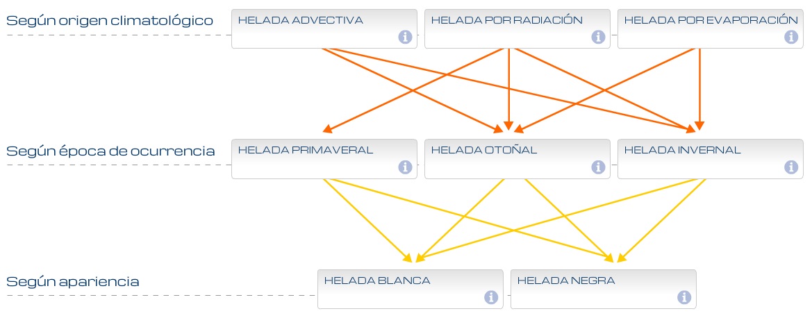 Tipos De Heladas