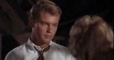 Another Old Movie Blog: Parrish - 1961