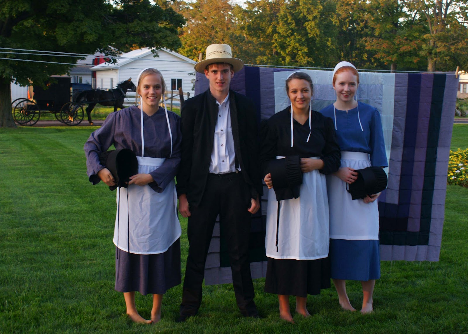 All things Amish
