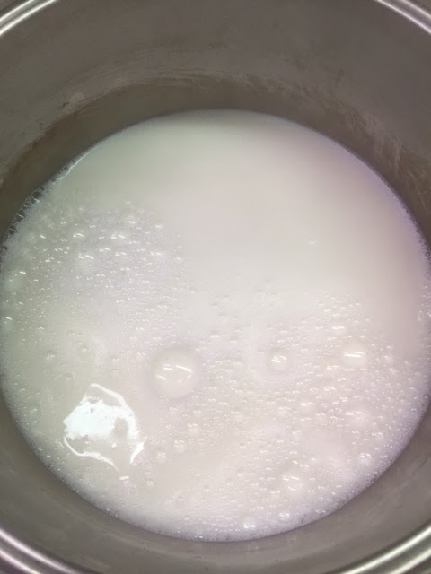 Burning the Milk and Making it Into Yogurt Anyway