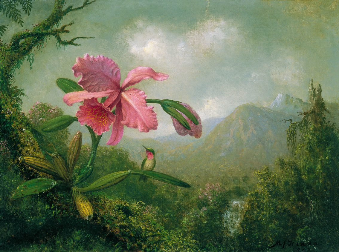 Intelliblog: ART SUNDAY - MARTIN JOHNSON HEADE
