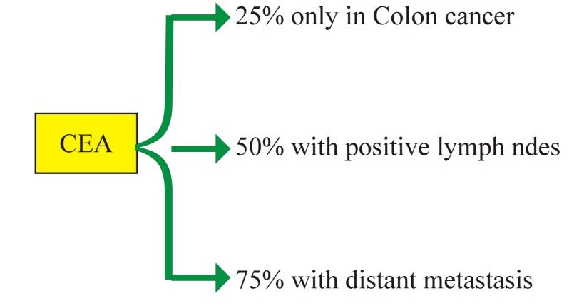 What Is A High CEA Level For Colon Cancer? - CancerOz