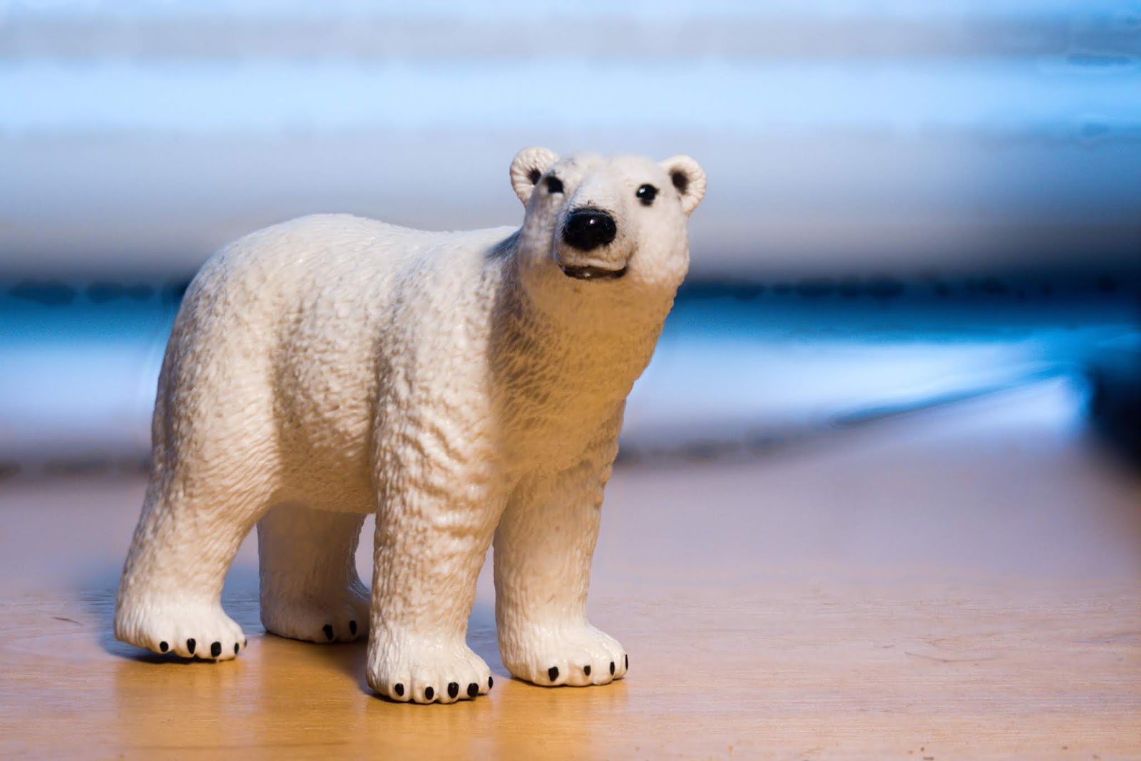 High-Quality Animal Images Pack 5-Pics RizNow