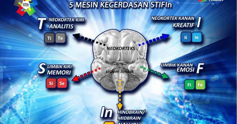 5 Mesin Kecerdasan dan 9 Personality Genetic STIFIn darimana? ~ Celoteh ...