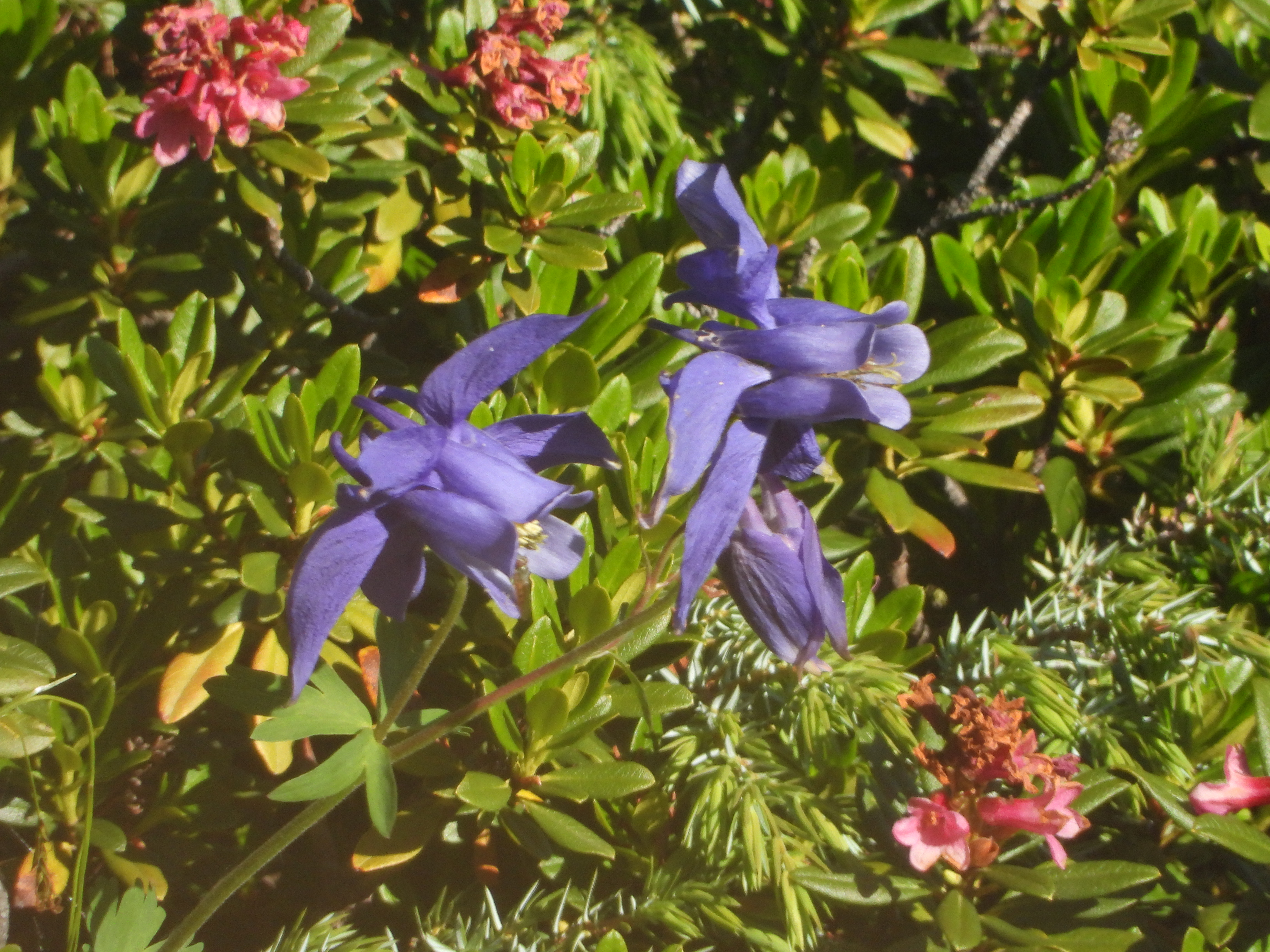 ABC Nature: Activités ABC Nature