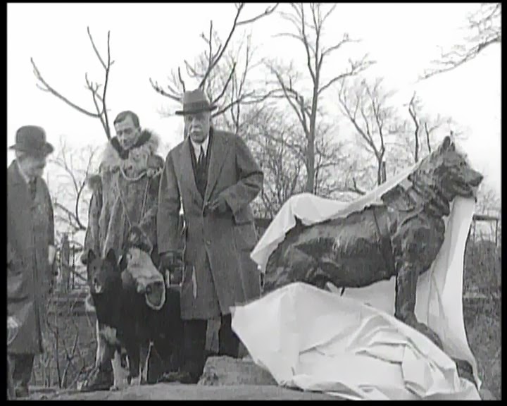 La sorprendente historia de "Balto" el perro lobo - Seamos Mas Animales ...