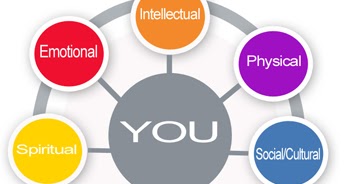 Introducing...The Seven Dimensions of Wellness