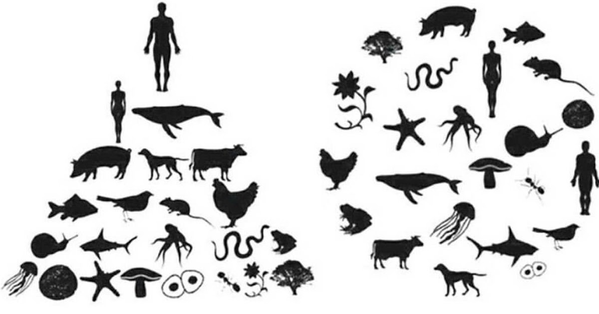 Environmental Philosophy: 9/10 Anthropocentrism, Biocentrism & Ecocentrism