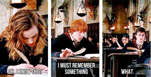 A Hogwarts Guide to Surviving the O.W.L.s & N.E.W.T.s (or Exams, as ...