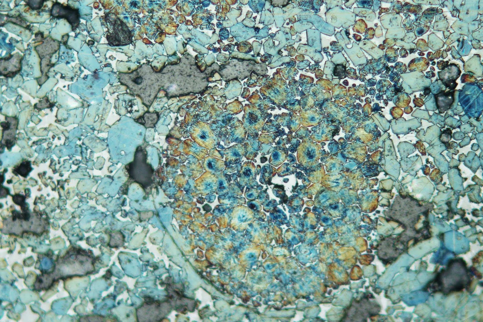 Cement clinker microscopy