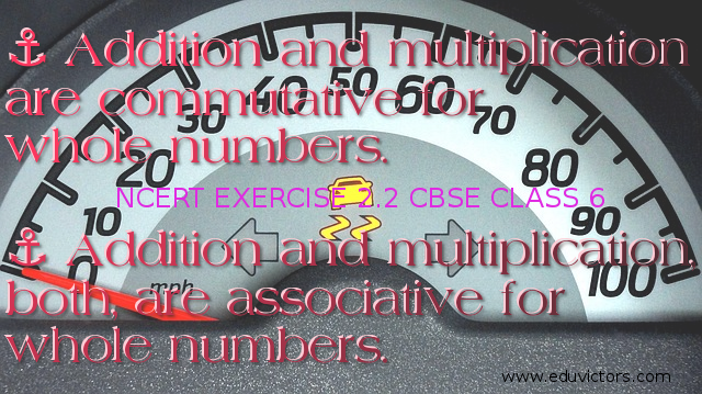 CBSE Papers Questions Answers MCQ CBSE Class 6 Maths Ch2 cbse-papers-questions-answers-mcq-cbse-class-6-maths-ch2