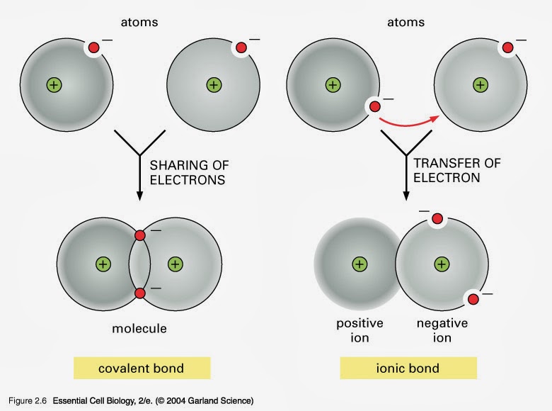 Mundo da Bioquímica (blog sobre bioquímica): Ligação iónica