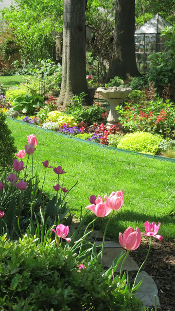 Miss Bloomers : Mother's Day Garden