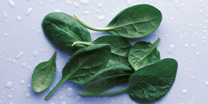 The Low Carb Diabetic: The health benefits of... spinach