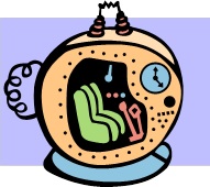 Luggage Tuesdays: Time Traveler Jokes