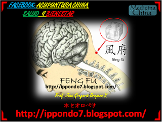 ACUPUNTURA CHINA, SALUD Y BIENESTAR: FENG FU