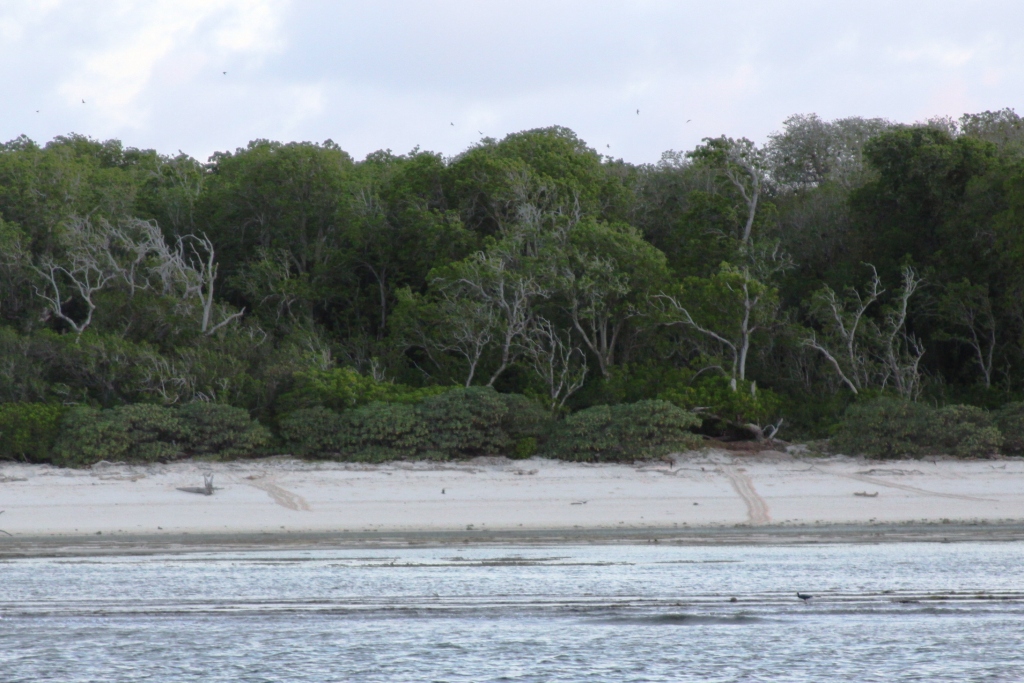 Dreamtime Sail: Off to Masthead Island for some reef hopping South.