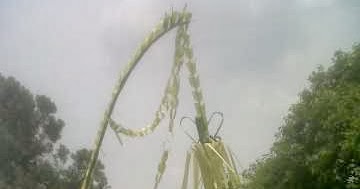 janur kuning pernikahan & umbul - umbul