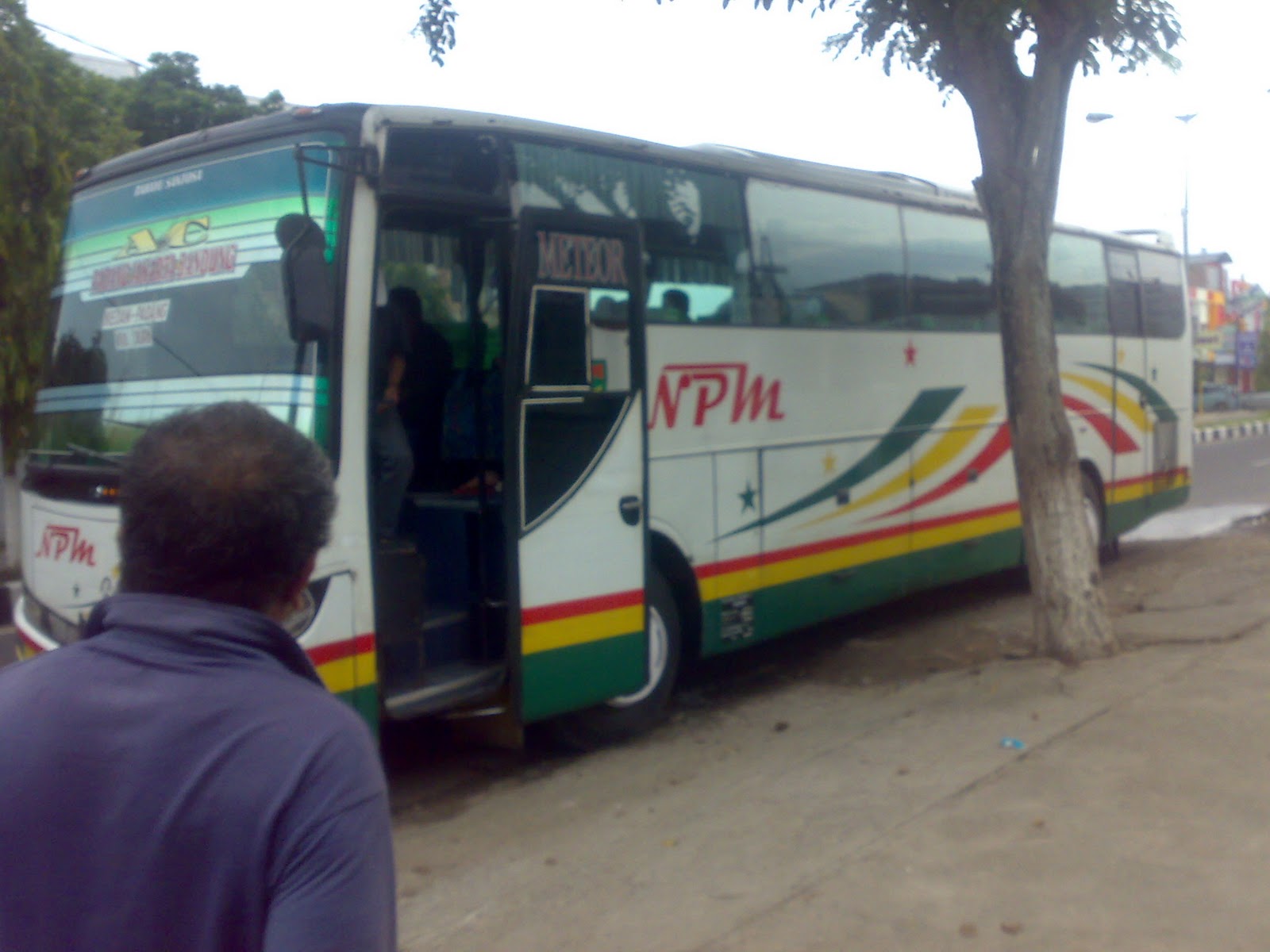 Npm Mania Lovers: Koleksi Bus Npm