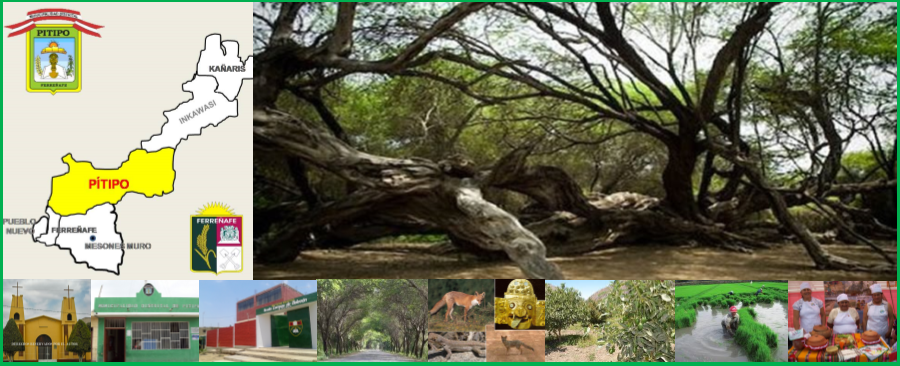 PÍTIPO, ¡UN PATRIMONIO POR CONOCER!: Somos parte de la Cultura Pitipeña