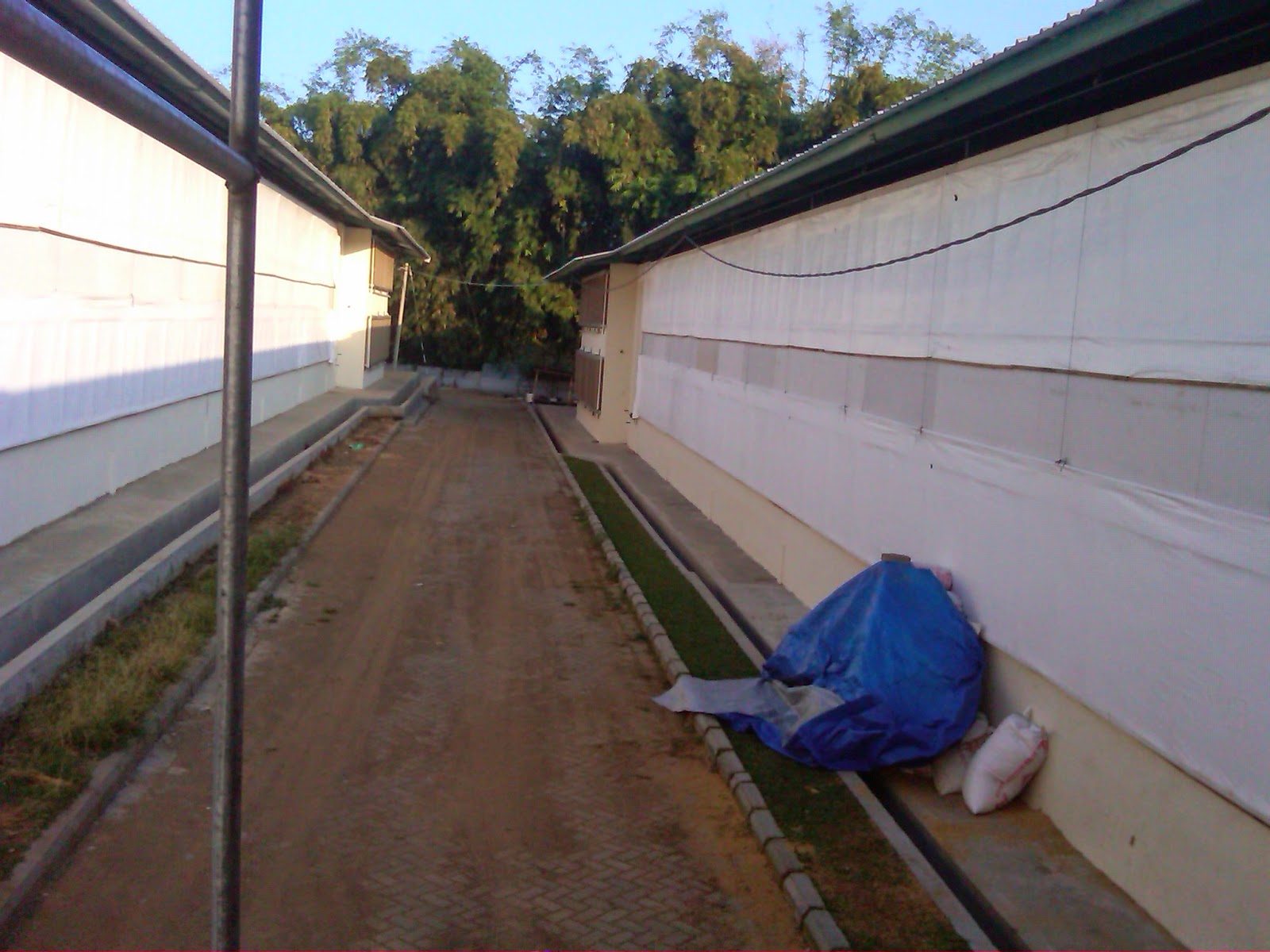 pt panca patriot prima: panca patriot prima