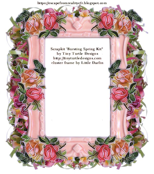 Escape From Reality Blog: FTU 'Bursting Spring' Cluster Frames TTD