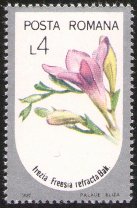 Timbre filatelice: Timbre filatelice cu flori din Romania